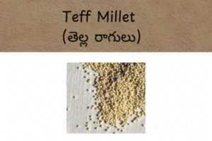 Best 10 Types Of Millets In Telugu | చిరుధాన్యాలు - 2026