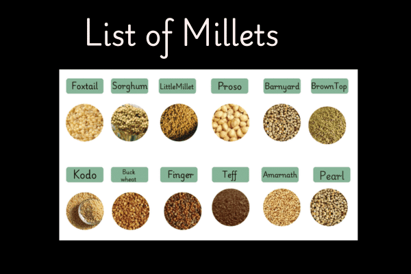 30+ Powerful List of Grains Millets Pulses Cereals and Seeds