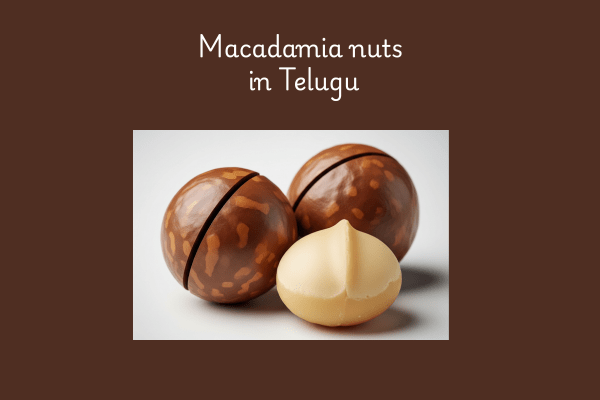 Proven Top 10 Benefits Of Macadamia Nuts in Telugu | Uses | Side Effects