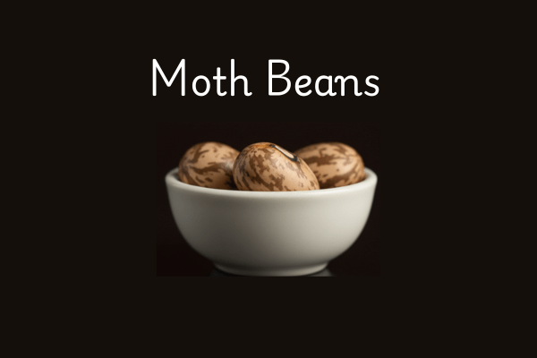 Top 10 Powerful Moth Beans Health Benefits, Nutrition, and Recipes